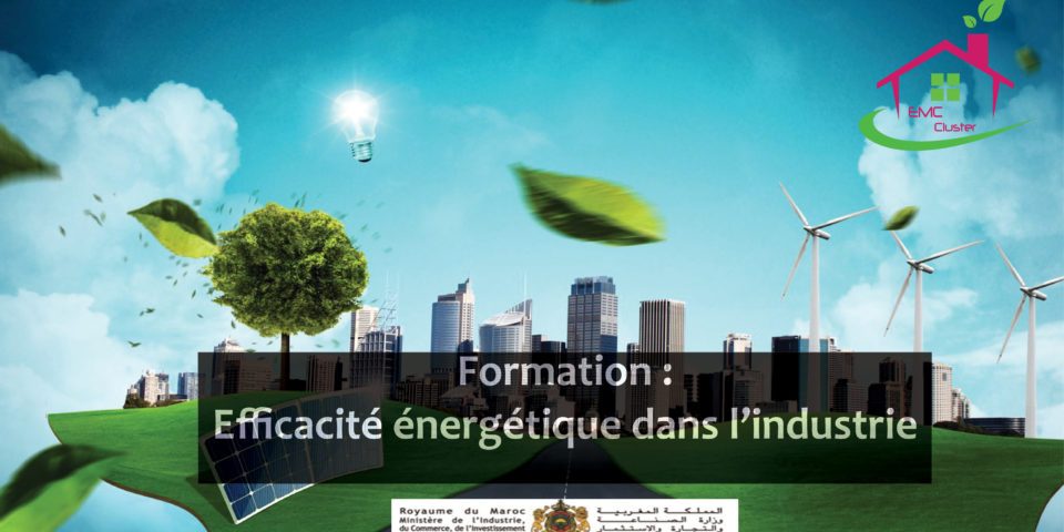 Formation : Efficacité énergétique dans l’industrie – CLUSTER EMC